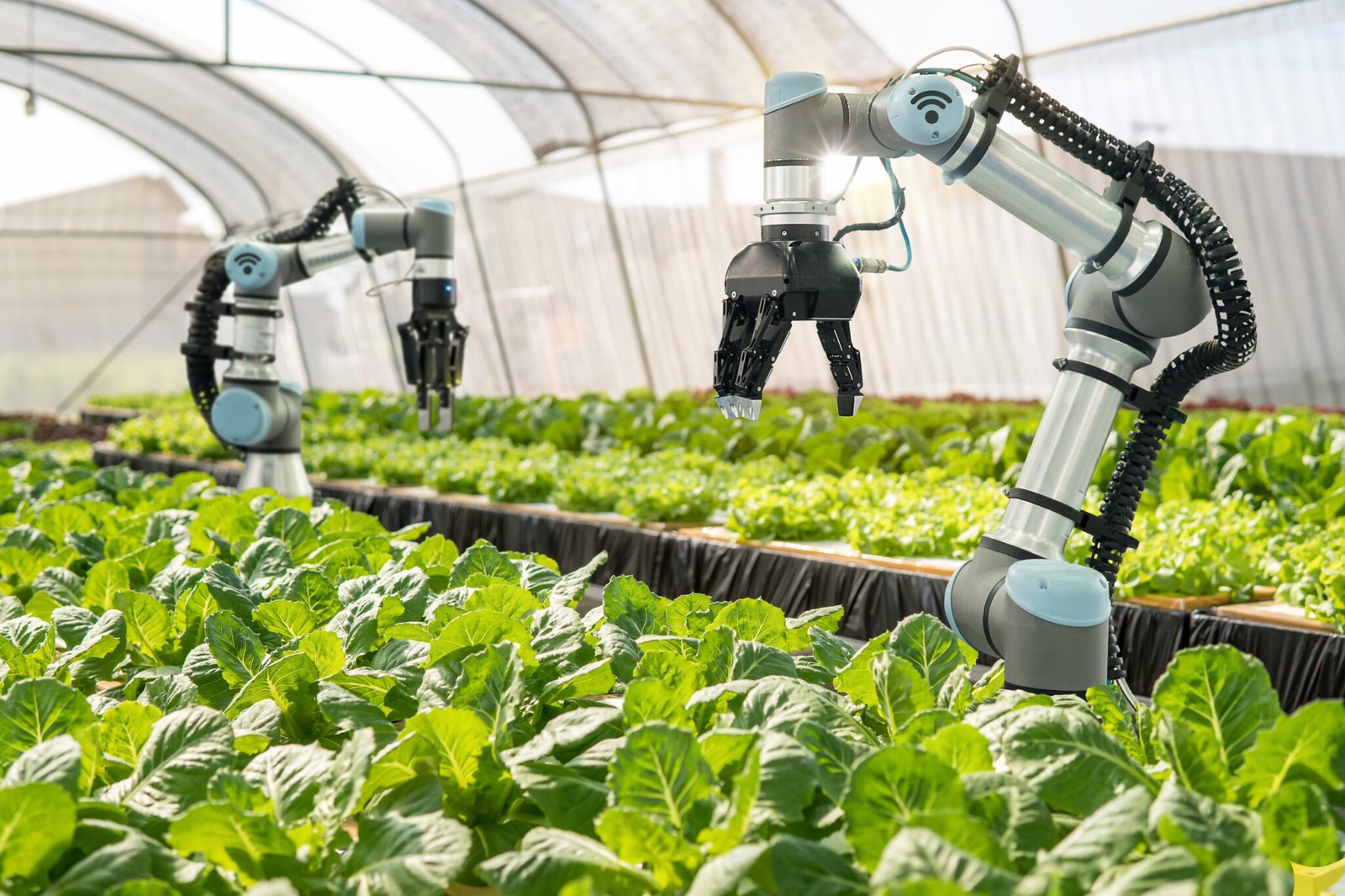 Robotics Integration | Robotics Systems & Industrial Automation